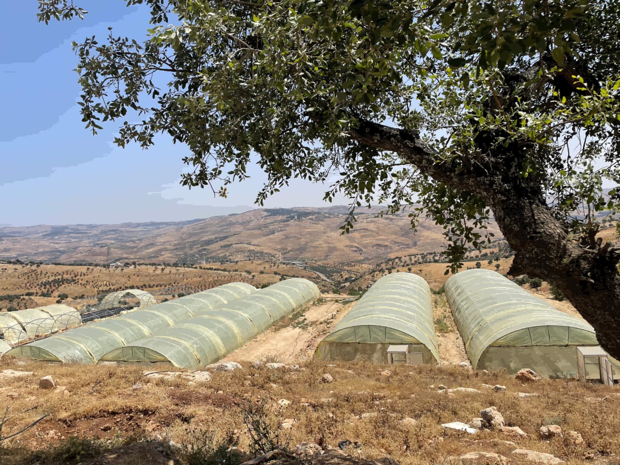 Flowless – Flowless helps water utilities and farmers run reliable ...